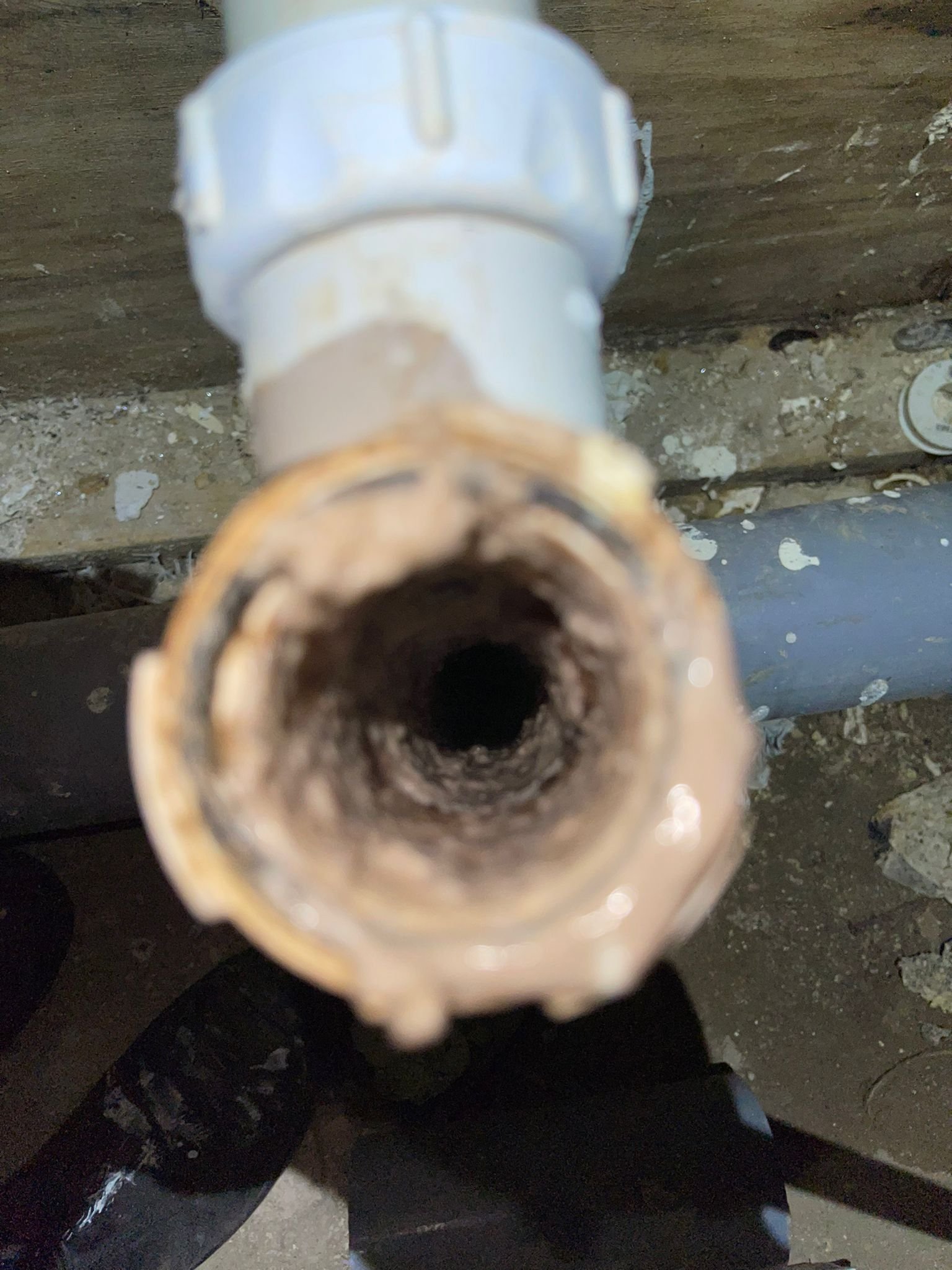Drain Descaling